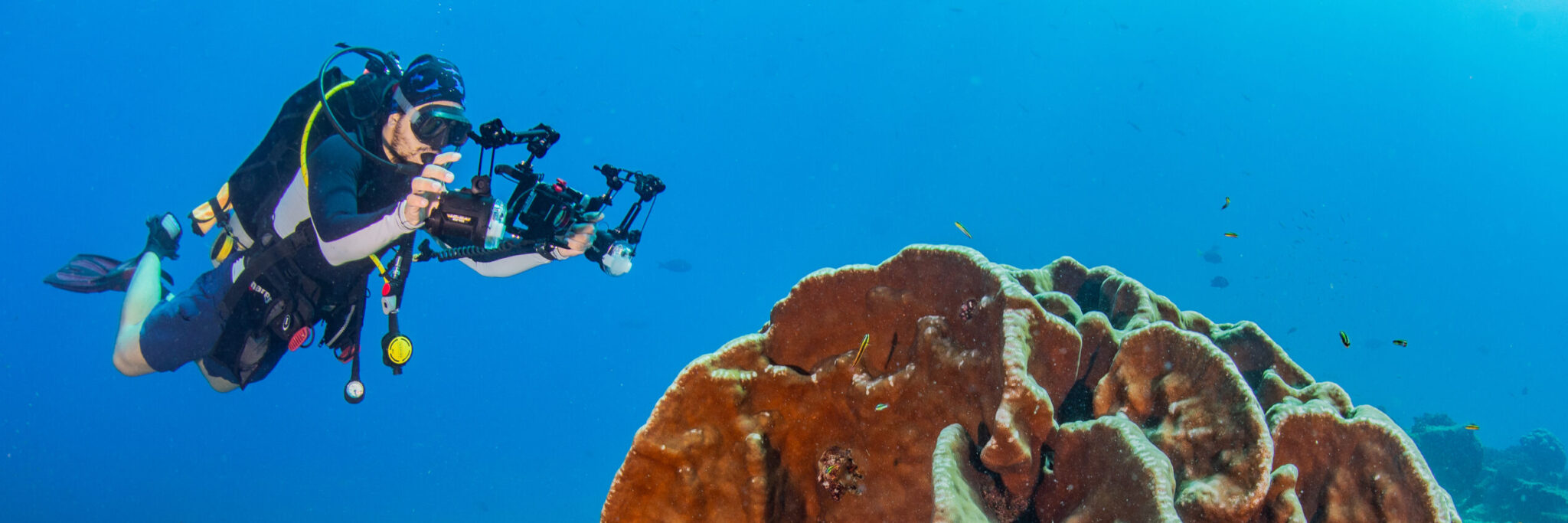 Buceo recreativo o pesca y acuacultura en México ¿Qué genera más ...